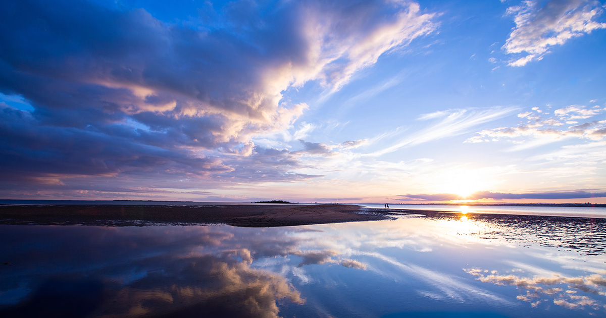 Truly Open, Truly Trusted -This is NEC.: The NEC Group's Purpose | NEC